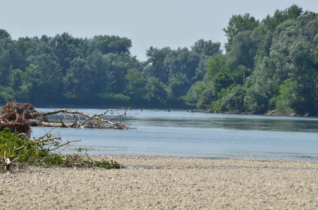 UNESCO će proglasiti Rezervat biosfere Mura-Drava-Dunav - Ribolov ...